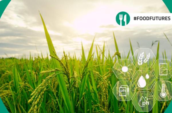 EIT Climate-KIC | EIT EIT Climate-KIC | EIT